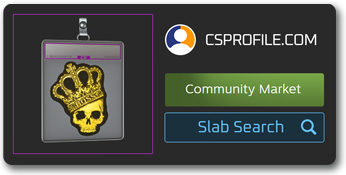 Applied Sticker Slab Search Tool - Find Slabs applied on CS2 skins